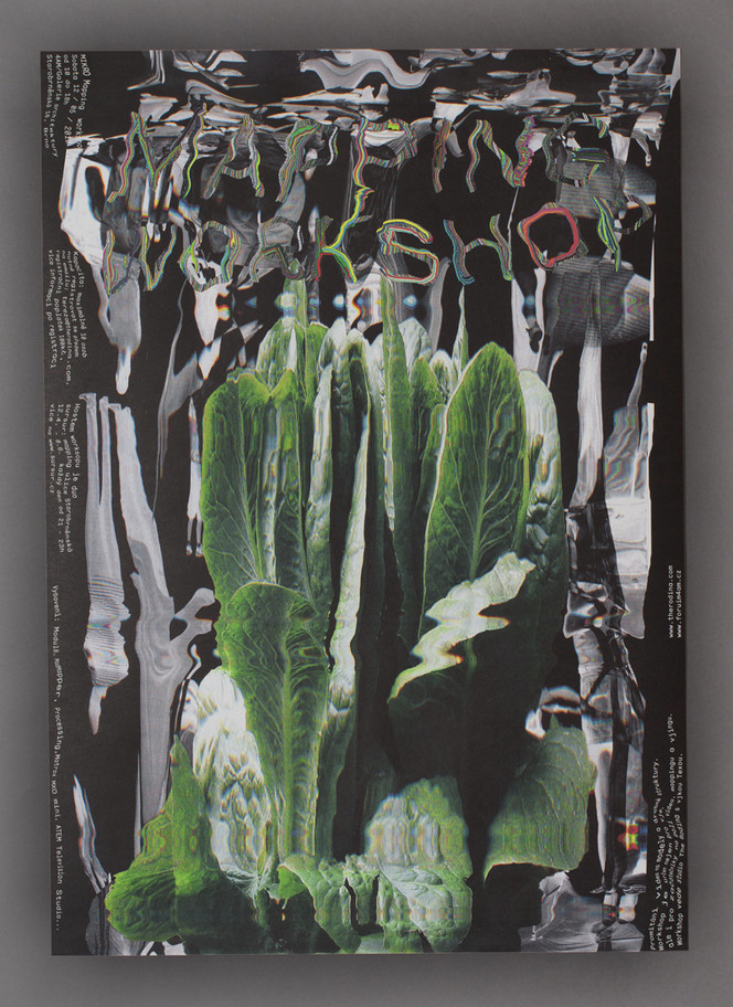 the rodina - typo/graphic posters